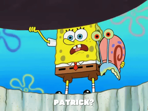 Season 8 Barnacle Face GIF by SpongeBob SquarePants - Find & Share on GIPHY