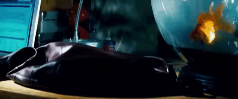 Transformers GIF - Find & Share on GIPHY