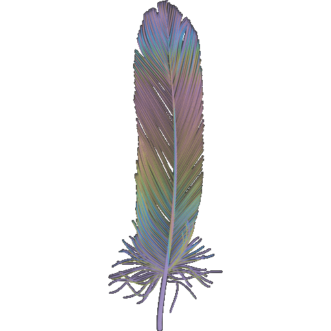 Feather Gif