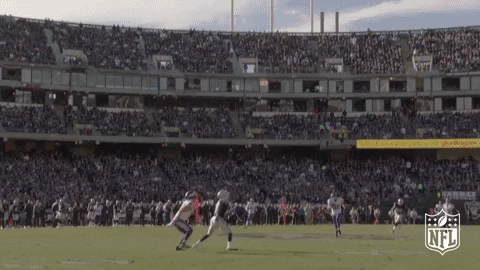 Oakland Raiders GIF by NFL - Find & Share on GIPHY