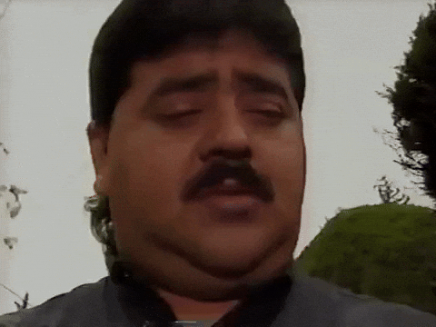 Choche GIFs - Get the best GIF on GIPHY