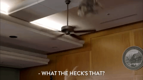 Wobbly Ceiling Fan Gif | Shelly Lighting