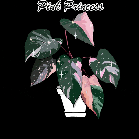 Happy Pink Princess Friday GIFs - Get the best GIF on GIPHY