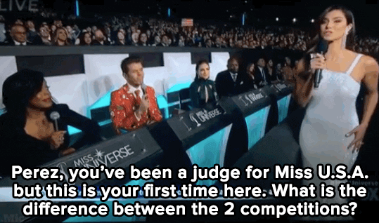 What Is The Difference GIFs - Get the best GIF on GIPHY