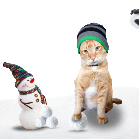 Throwing Snowballs Gif