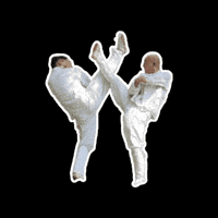 Kick Karate Gif Find Share On Giphy
