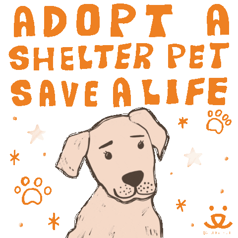 Adopt a Shelter Pet Day by Best Friends Animal Society | GIPHY