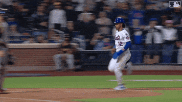 New York Mets GIFs on GIPHY - Be Animated