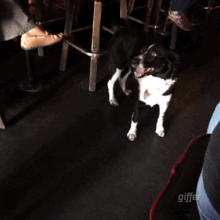 Cumple Fer GIFs - Find & Share on GIPHY