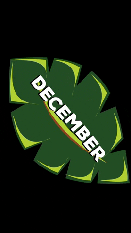 Eco Friendly Packaging GIFs - Get the best GIF on GIPHY