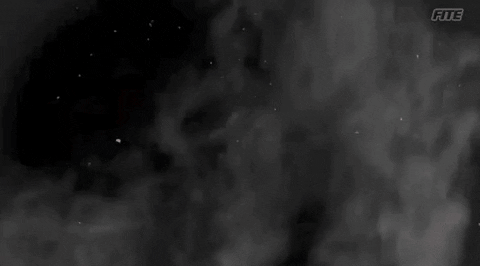 Redbear GIFs - Get the best GIF on GIPHY