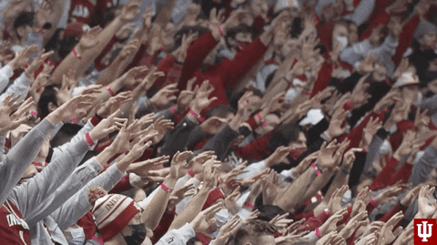 Indiana Hoosiers GIFs - Find & Share on GIPHY