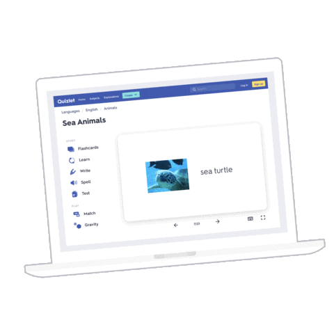 Quizlet GIFs - Find & Share on GIPHY