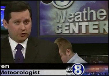 New trending GIF tagged funny awkward news weather… | Trending Gifs