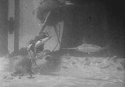 Fighting-a-swordfish-witha-swordfish GIFs - Get the best GIF on GIPHY