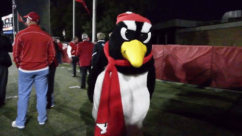 Mascot Penguin GIF by Youngstown State University - Find & Share on GIPHY