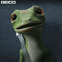 Geico Gif