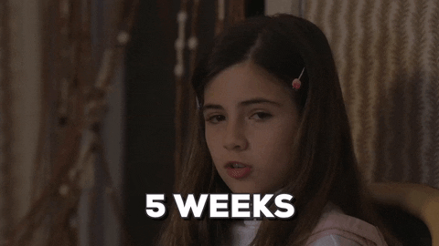 5 Weeks GIFs - Find & Share on GIPHY