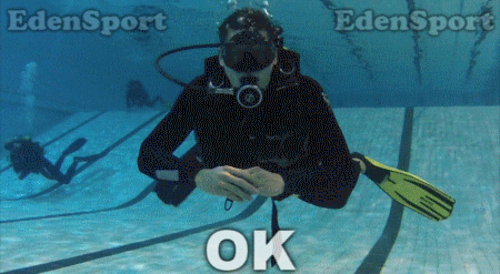 Diving Signs GIFs on GIPHY - Be Animated