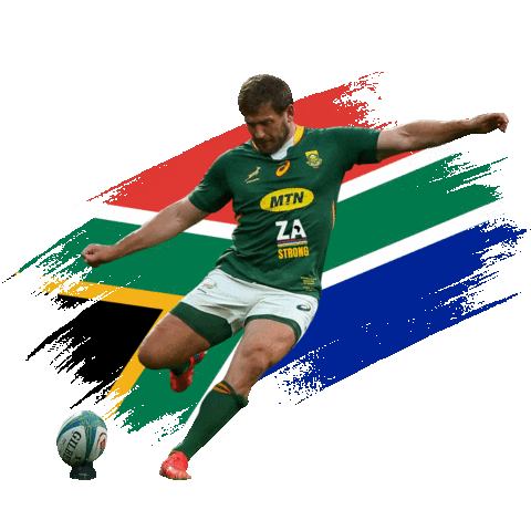 Springbok Rugby GIFs on GIPHY - Be Animated