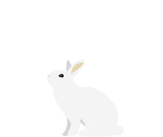 Bunny Hopping Animated Gif