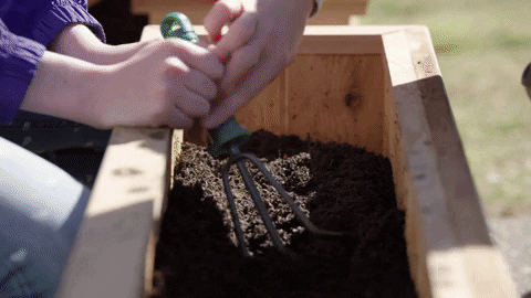 Planting Hclutr19 GIF by Hallmark Channel - Find & Share on GIPHY