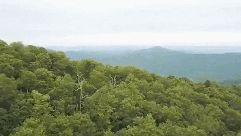 Asheville-north-carolina GIFs - Get the best GIF on GIPHY