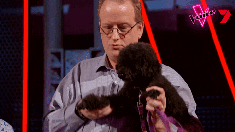 Dancing Poodle GIFs - Get the best GIF on GIPHY