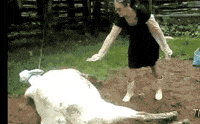 Woman Tripping Gif