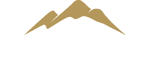 Jennifer Bellinger Russ Lyon Realtor GIFs on GIPHY - Be Animated