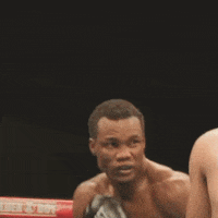 Boxing Knockout Gif