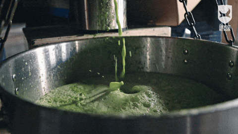 Green Beer GIFs - Get the best GIF on GIPHY