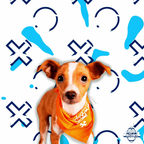 Lets Go Dogs GIF by Puppy Bowl - Find & Share on GIPHY