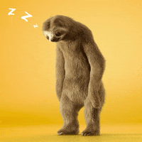 Sloth Gif