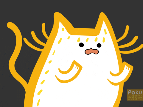 Cat Surprised GIFs - Get the best GIF on GIPHY