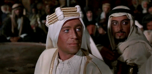 Lawrence Of Arabia Perfection GIF by Maudit - Find & Share on GIPHY