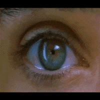 Requiem For A Dream Gifs