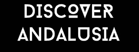 Andalusia GIFs - Get the best GIF on GIPHY