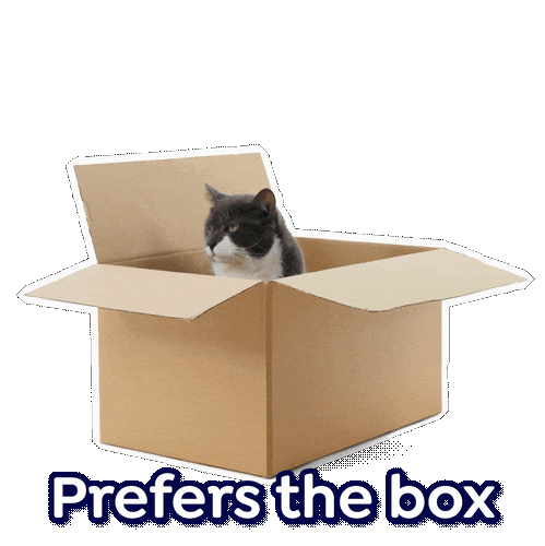 Cat Box Sticker by JistGroup for iOS & Android | GIPHY
