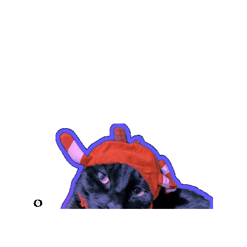 Rod Kim GIFs on GIPHY - Be Animated