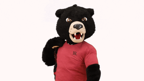 College Mascot GIF by Lenoir-Rhyne University - Find & Share on GIPHY