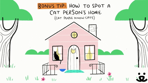 Community Cat Day by Best Friends Animal Society | GIPHY