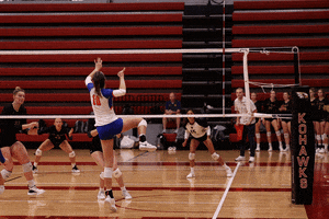 University of Wisconsin Platteville Volleyball GIFs on GIPHY - Be Animated
