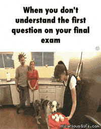 Final Exams Gif