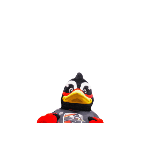 Rio The Roadrunner GIFs on GIPHY - Be Animated