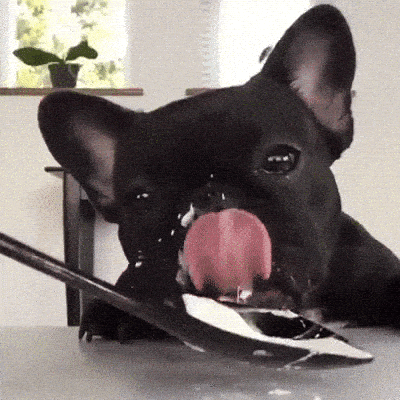 This Is Fine Dog GIFs - Get the best GIF on GIPHY